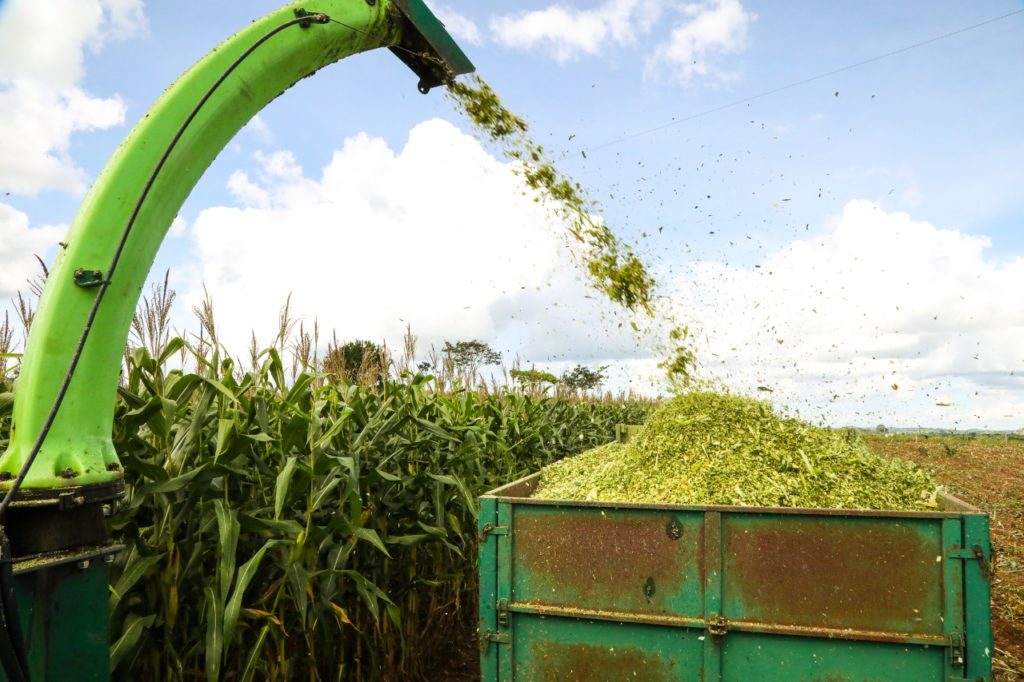 Agricultura familiar mais forte: Prefeitura de Jaru oferece suporte ...